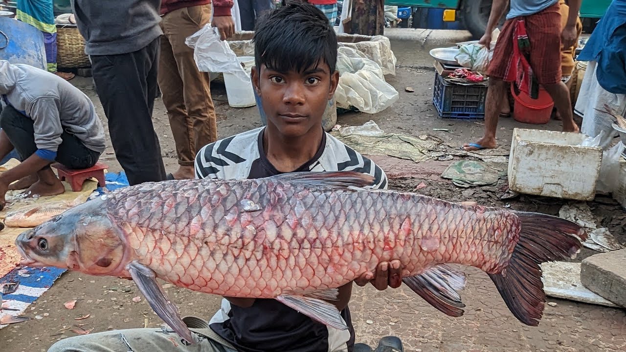 🔴 Amazing Big Grass Carp Fish 🐬 Super First Cutting Skill ⚔️ - YouTube