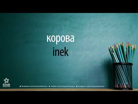 Rusça - inek / корова