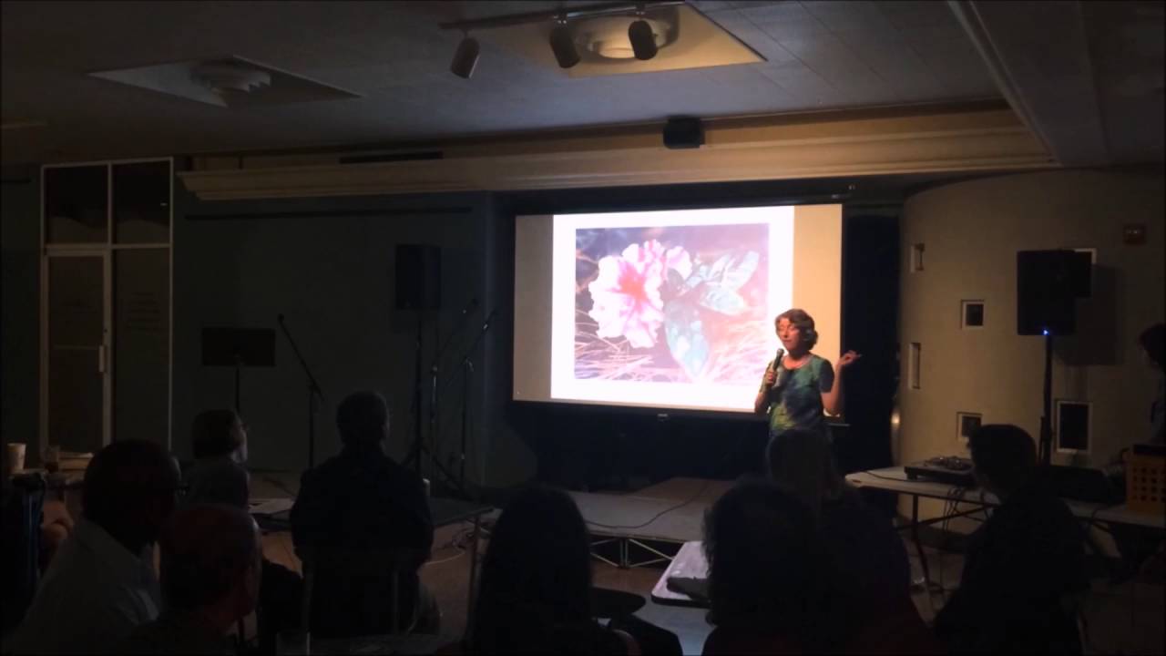 Freeda Cathcart - PechaKucha Night Roanoke - YouTube