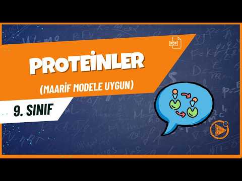 Proteinler | 9. Sınıf Biyoloji Konu Anlatımı | 2025- 2026
