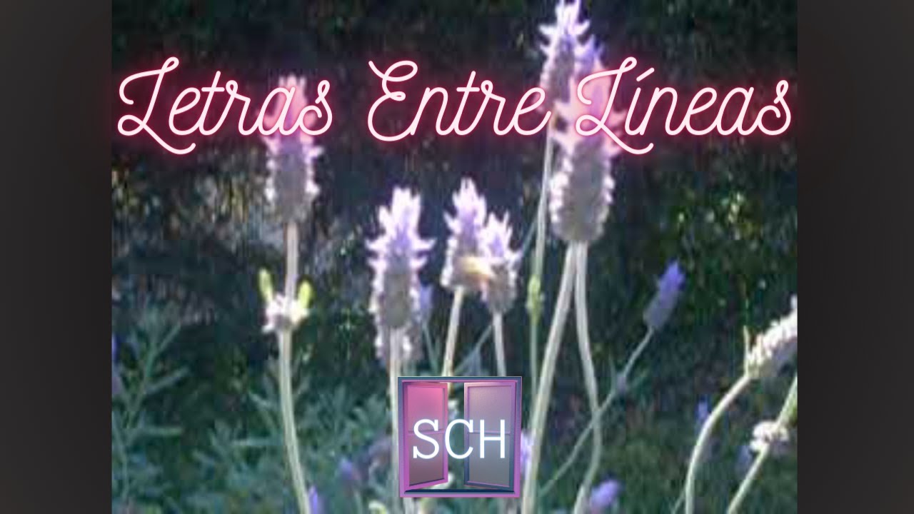 SCH - Letras Entre Líneas (Lyric Video) - YouTube