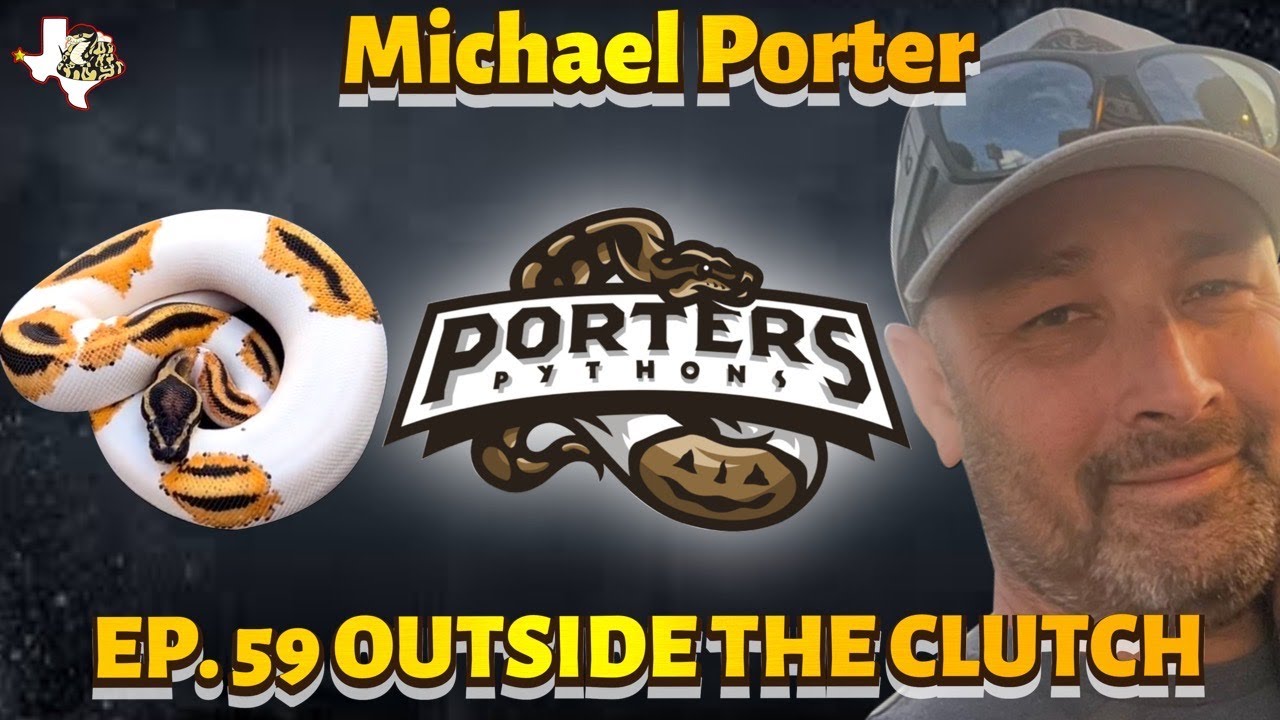 OTC | EP 59 | MICHAEL PORTER OF PORTERS PYTHONS | BRING ON THE PIED - YouTube