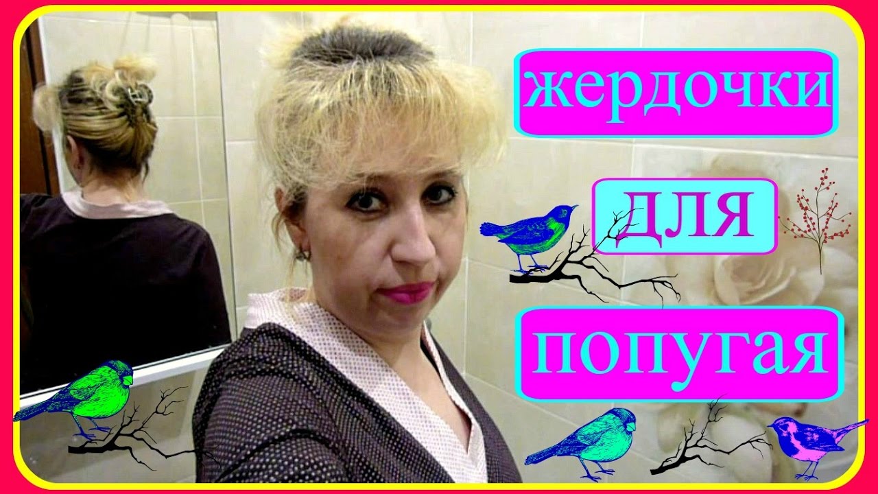 Жердочки для попугая//Погрызушки//Веточки в клетку//Уход за попугаем ...