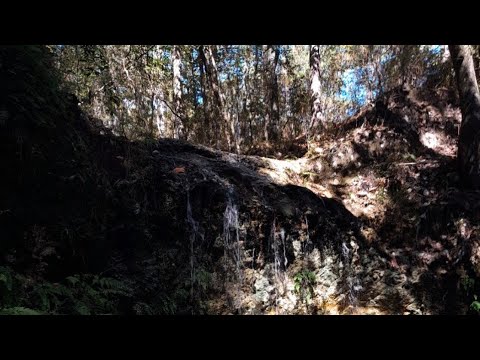 Falling Waters State Park Chipley Florida Florida's Tallest Waterfall ...