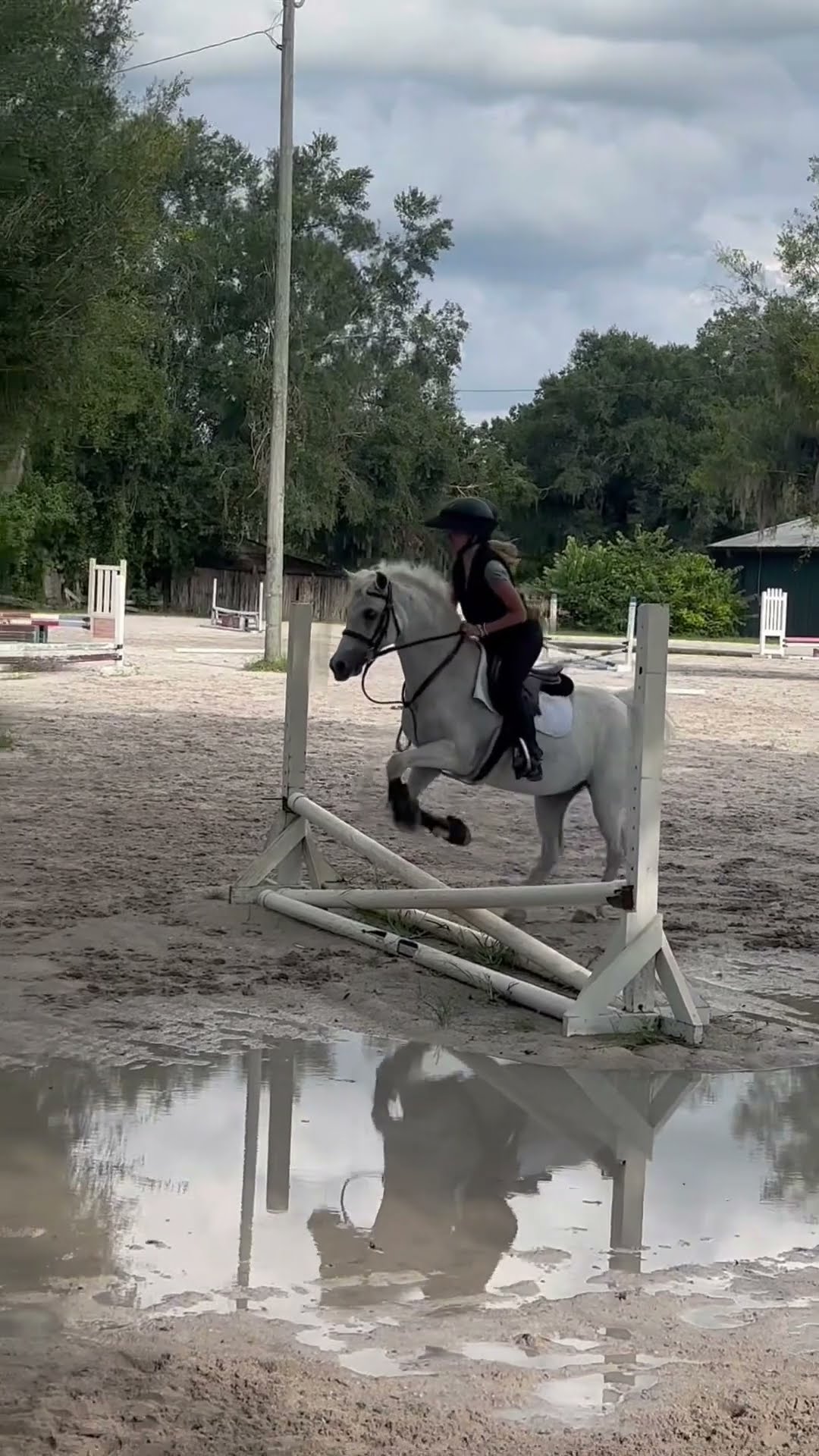 preppy pony - YouTube