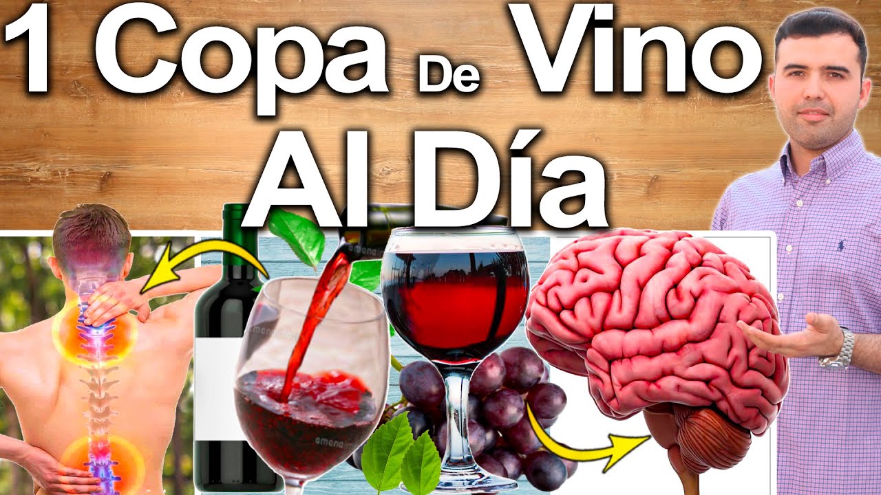 1 Copa De Vino A Diario ¿Para Qué Sirve? - Beneficios Para Tu Salud Y ...