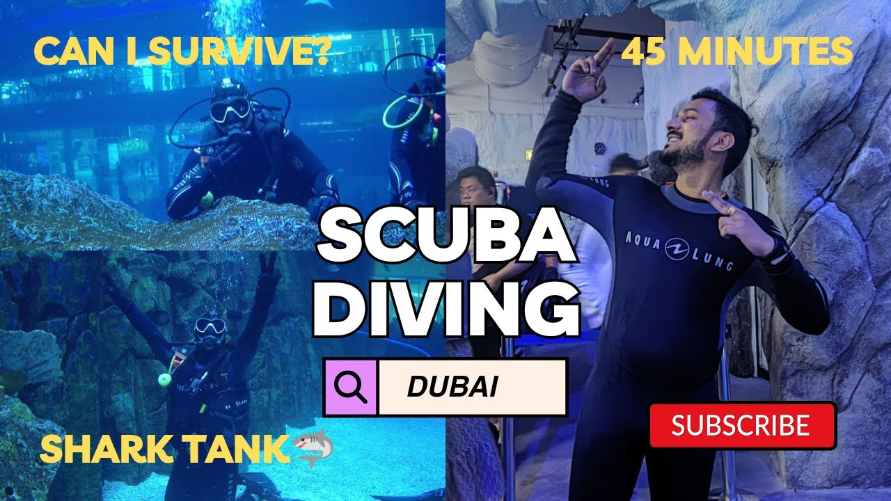 Unforgettable Scuba Diving Adventure: Inside a SHARK TANK 🦈 (For Real ...