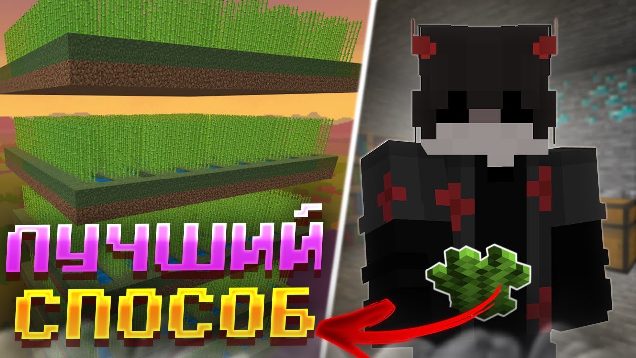 🟥 Этот Способ заработка ПЕРЕВЕРНУЛ моё выживание НА АНАРХИИ phoenix-pe ...