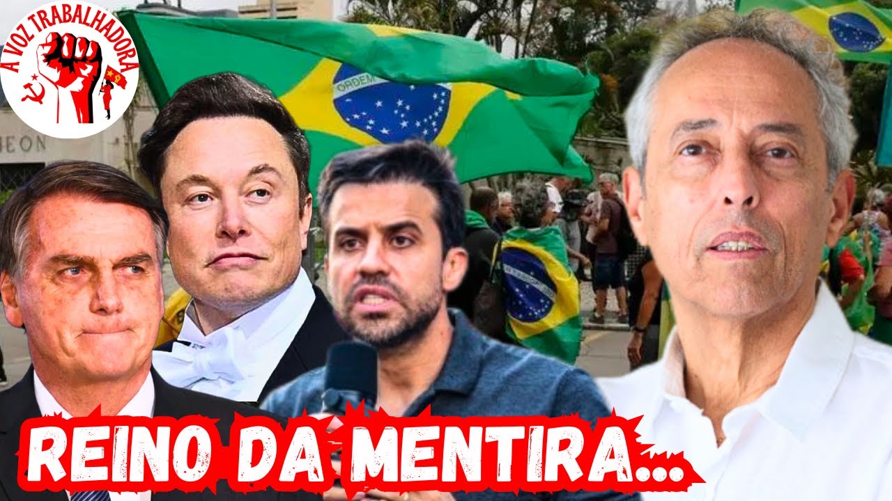 BOB FERNANDES: MUSK E MARCAL E AS FALSAS NARRATIVAS DA EXTREMA DIREITA ...