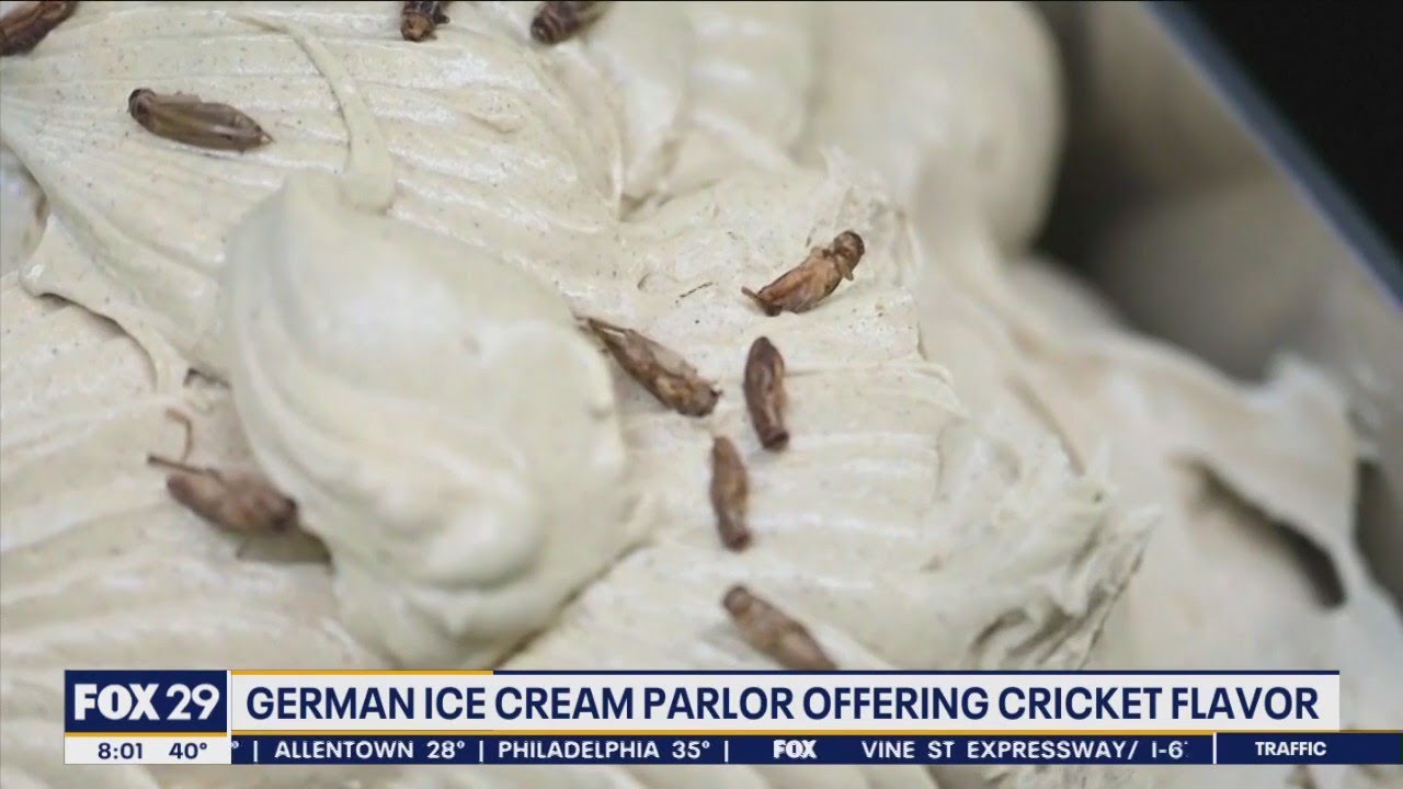 Cricket flavored ice cream, anyone? - YouTube
