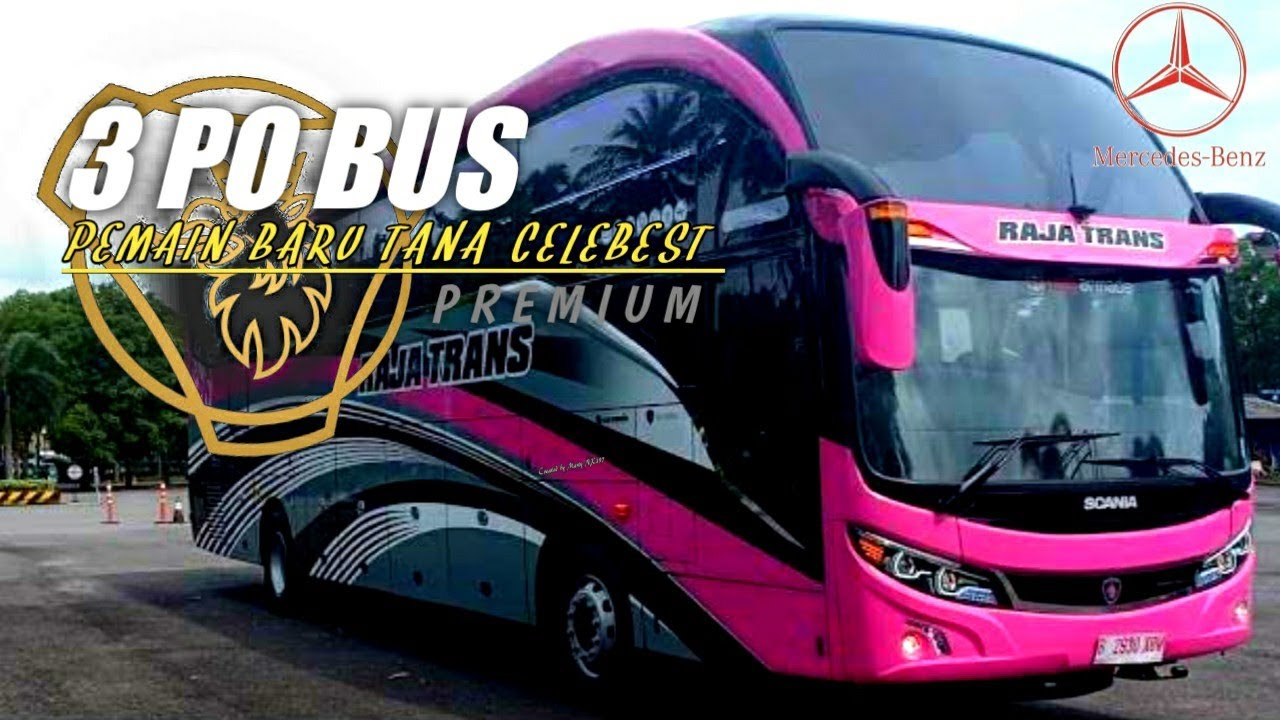 3 PO BUS PEMAIN BARU DI TANA CELEBEST⁉️.... - YouTube