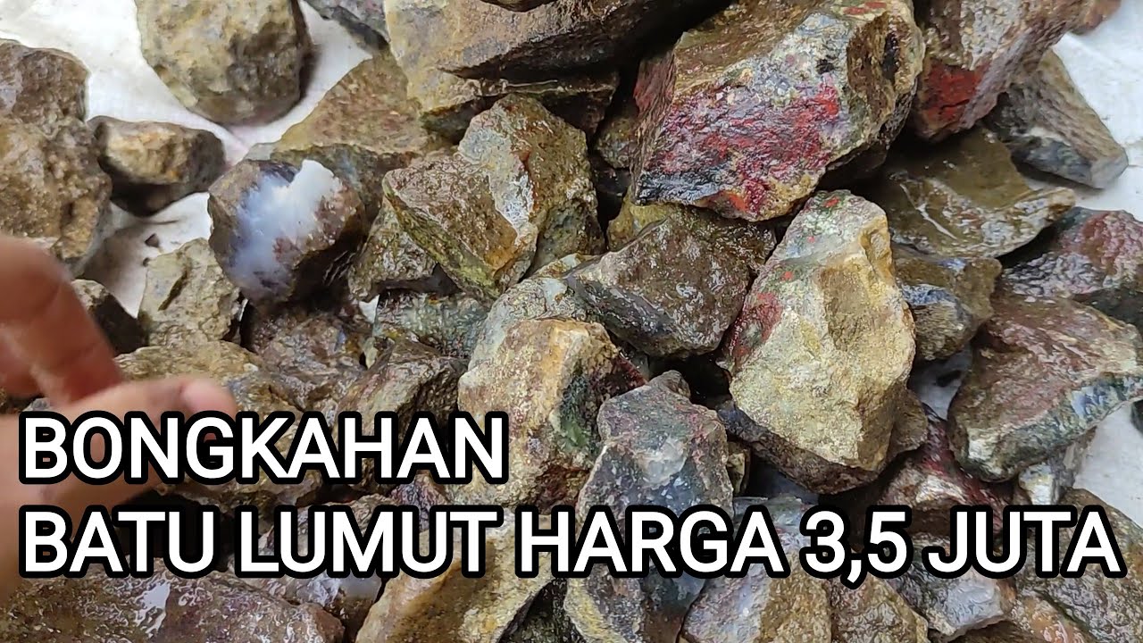 Bongkahan batu lumut harga 3,5 juta dilokasi begini penampakanya - YouTube