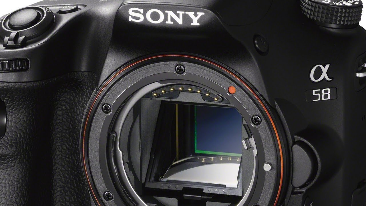 Best DSLR Cameras for Beginners – Aditi at work