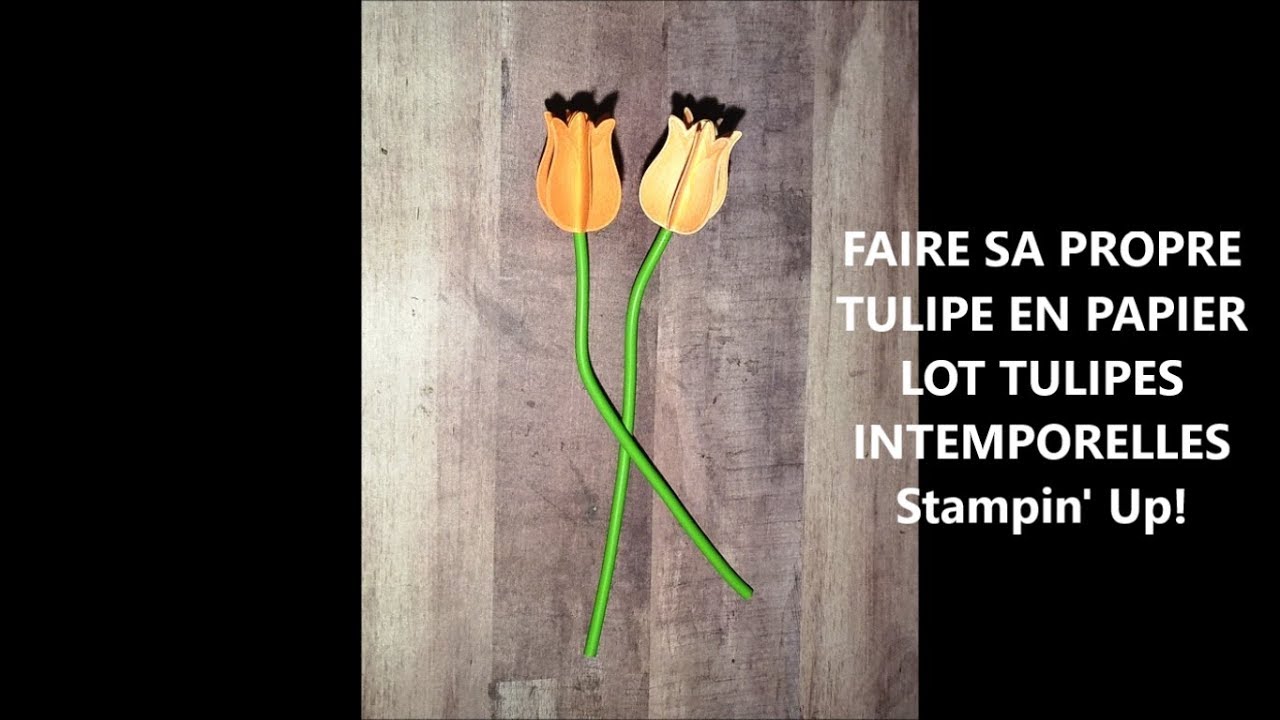 TUTORIEL : TULIPE EN PAPIER LOT TULIPES INTEMPORELLES Stampin' Up ...