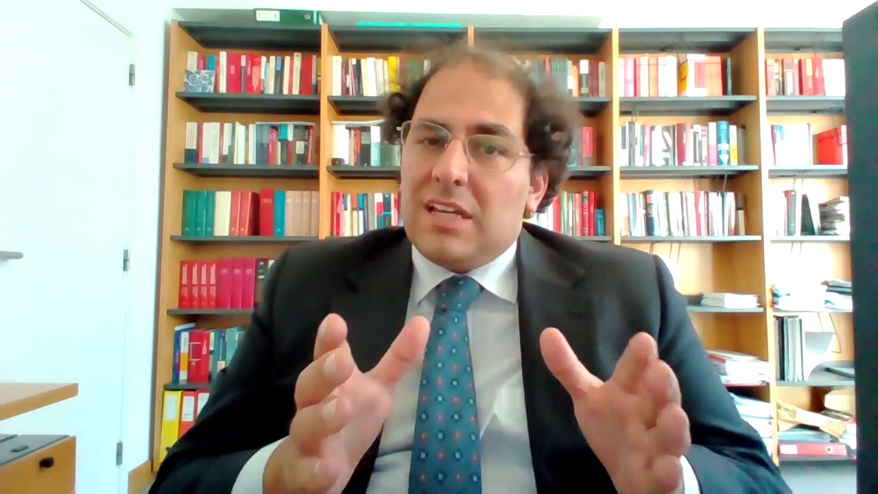 Miguel Assis Raimundo : Some Thoughts on the Limitation of Freedom of ...