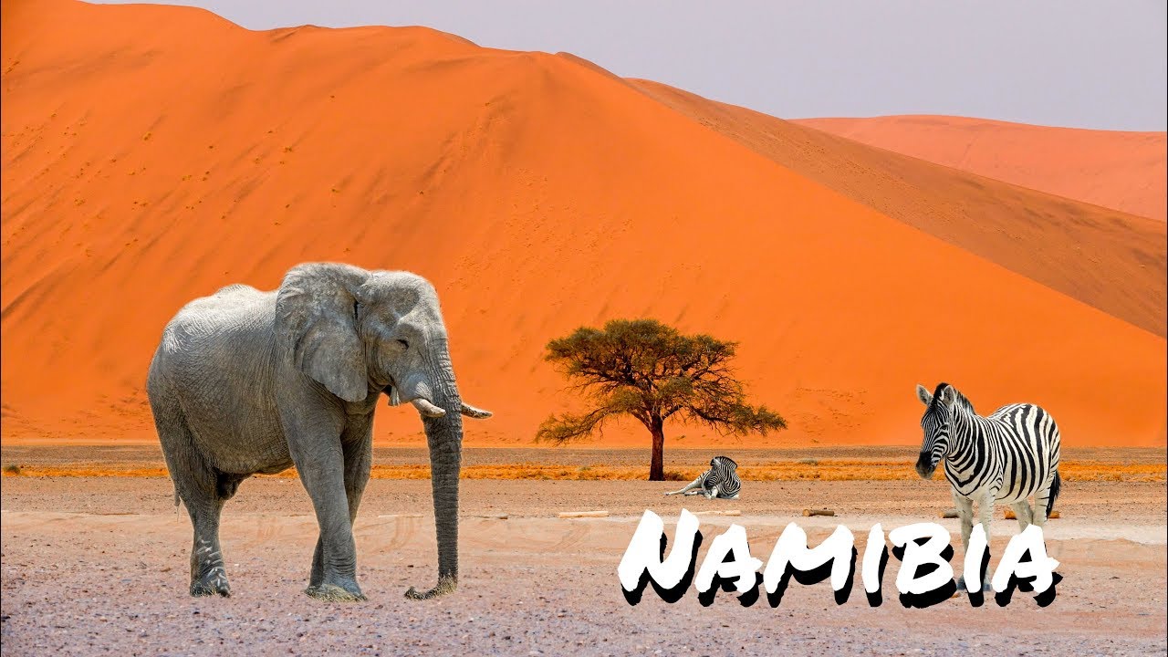 Unsere Namibia-Reise 2017 - YouTube
