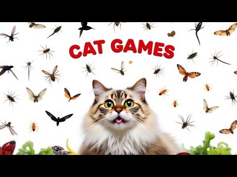 Games for cat | cat games | Realistic lizard in screen | cat games on ...