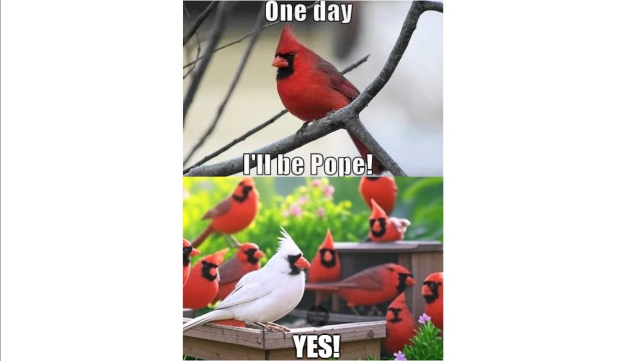 Catholic Memes While You Wait For The Conclave - Episode 25 - YouTube