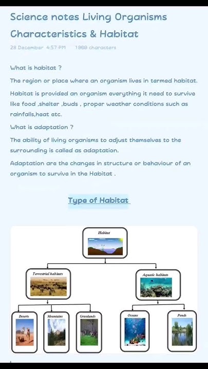 Class 6th science notes chapter 6 living organisms characteristics ...