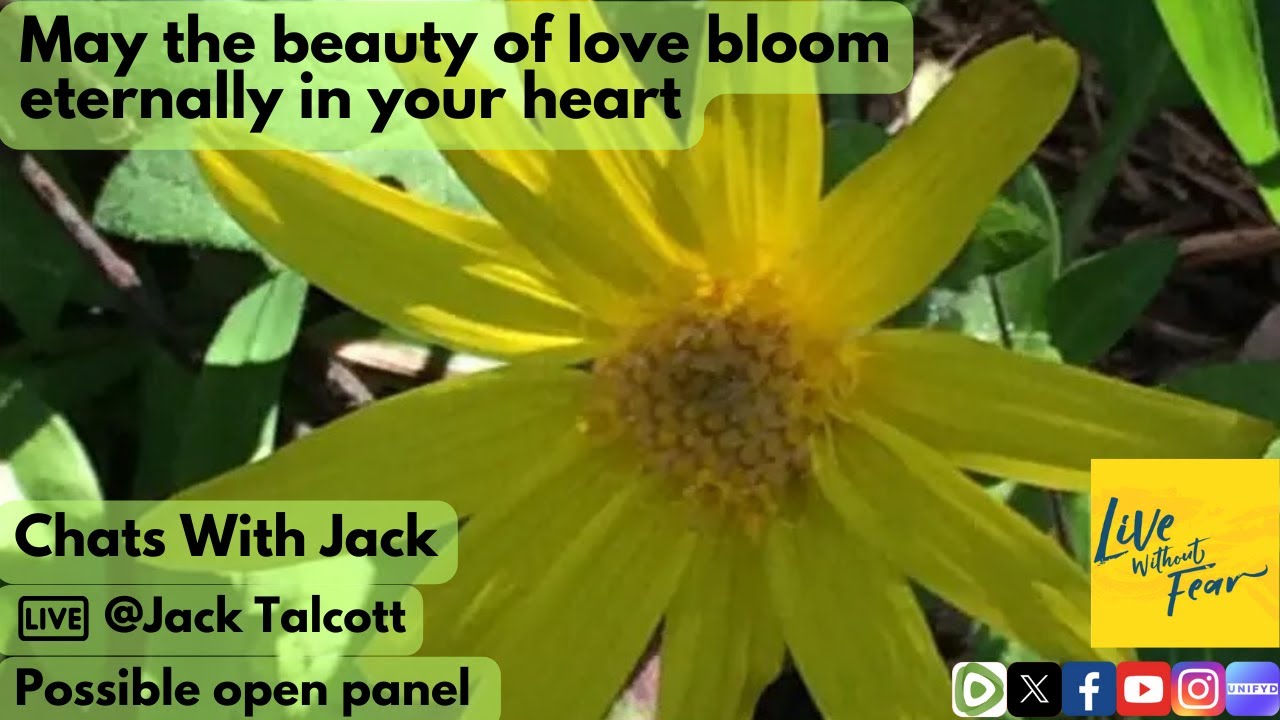 Love Absolute, Divine Intoxication; Chats with Jack and Open(ish) Panel ...