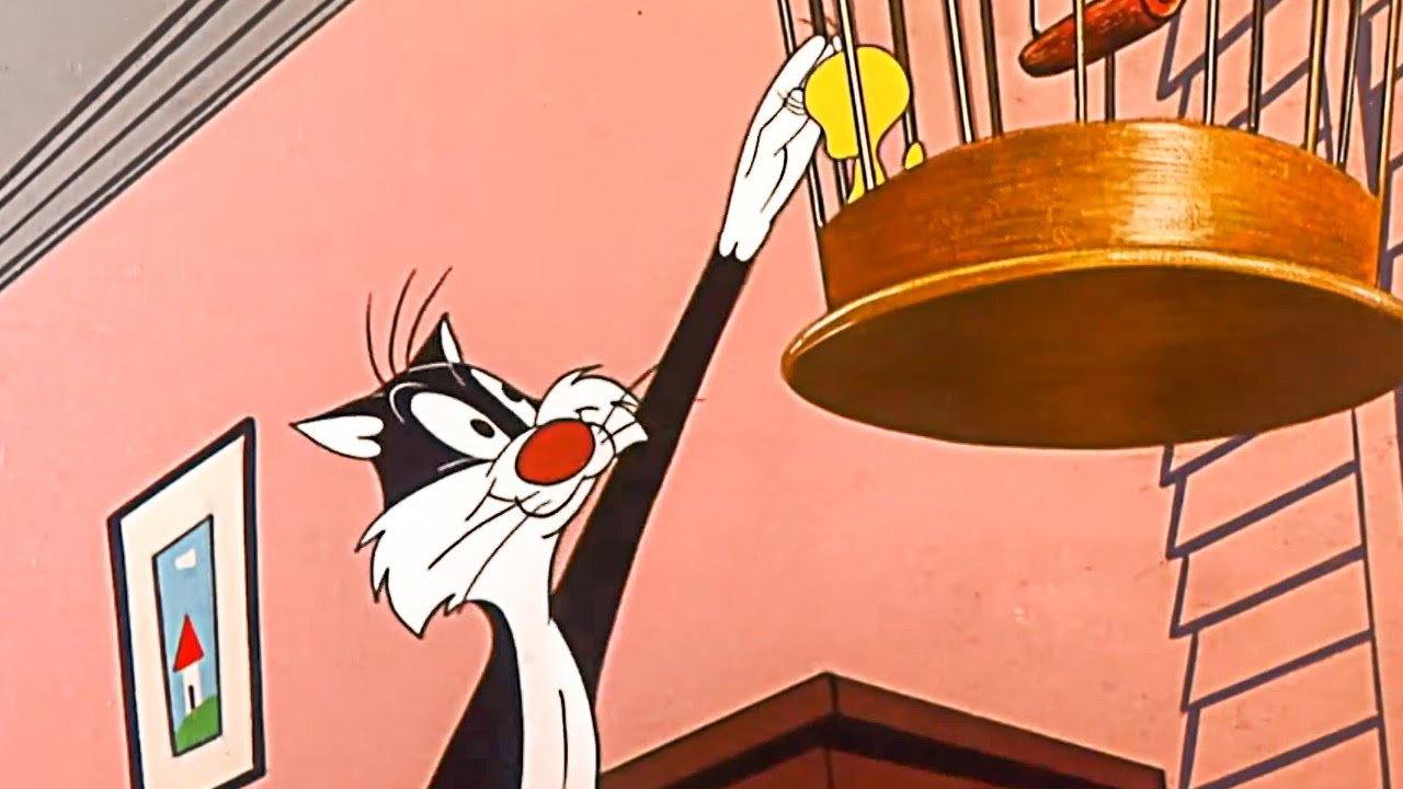 Sylvester and Tweety Takes Off Gameplay Looney Tunes Boomerang Games # ...