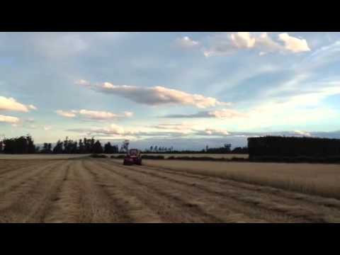 Windrowing grass seed - YouTube