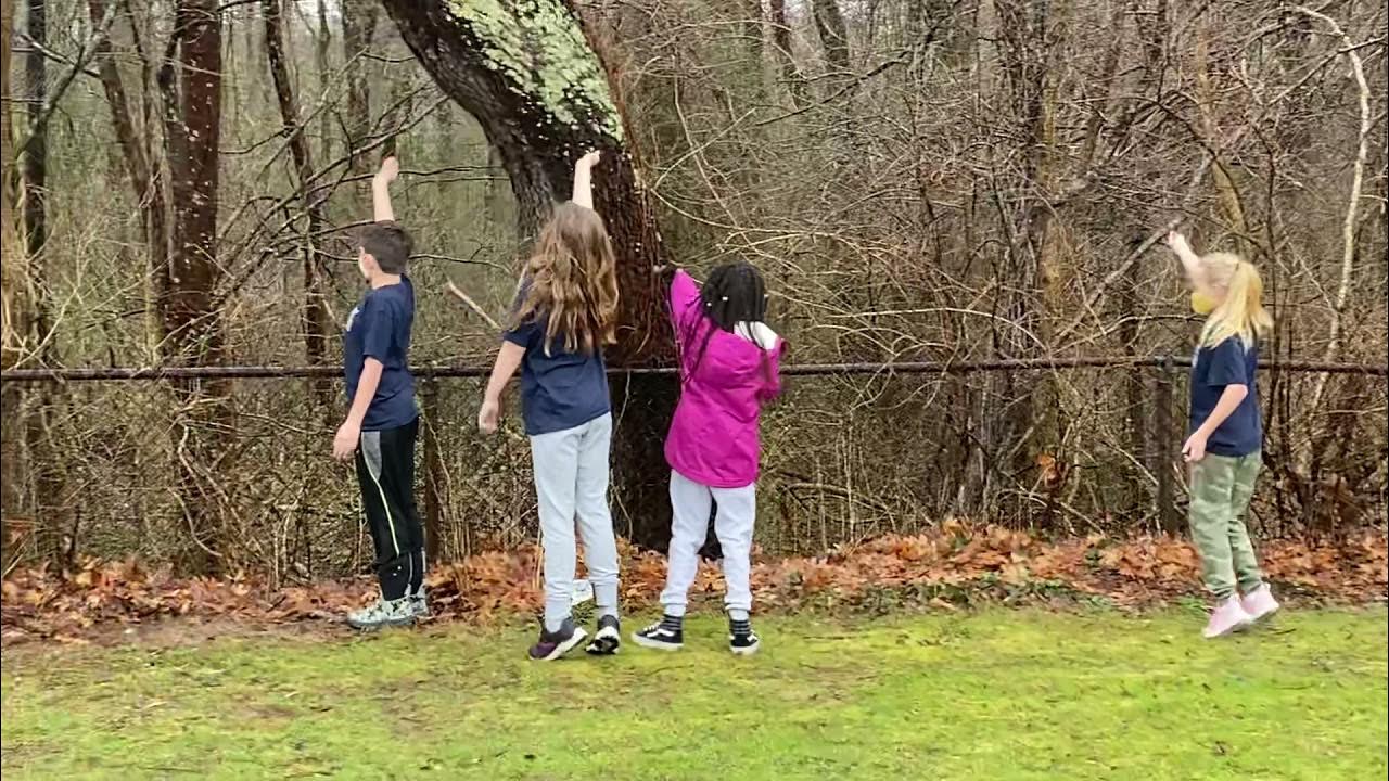 The elusive sloof lirpa bird! - YouTube