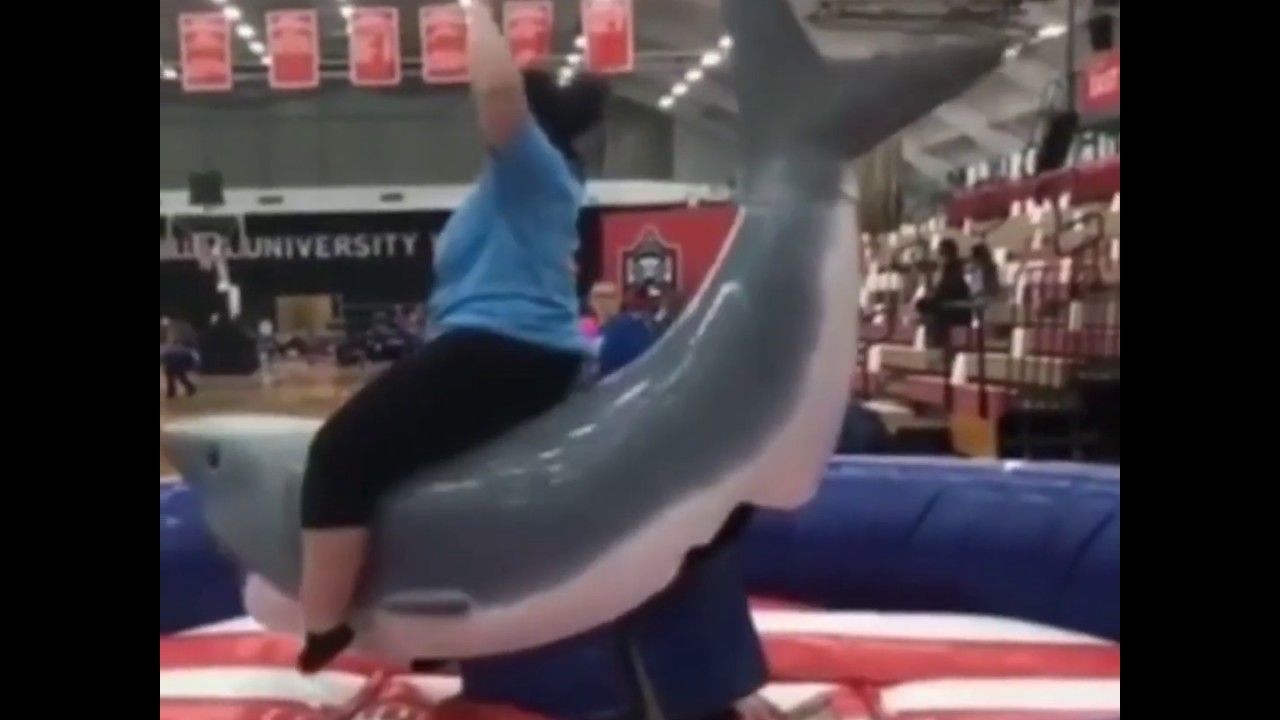 Best day of my life - Riding a Shark Fail 2019 - YouTube