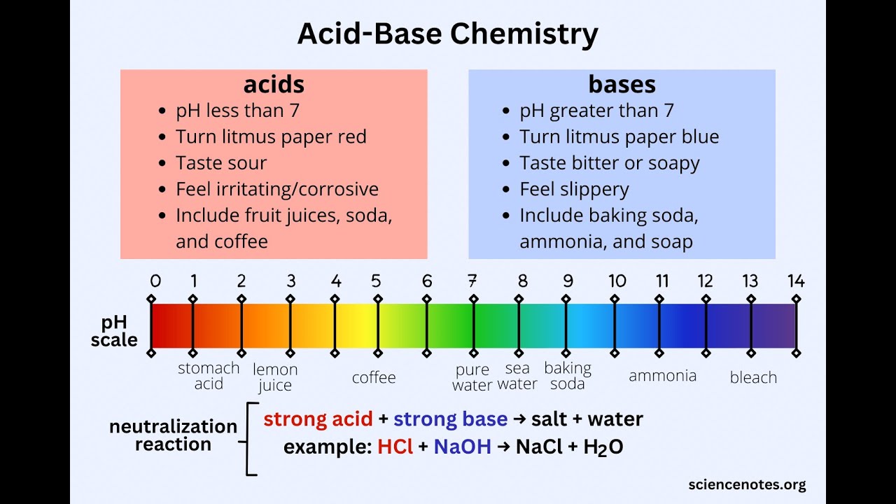 Identification of Acids and Bases | Grade7 Science Unit 5 - YouTube