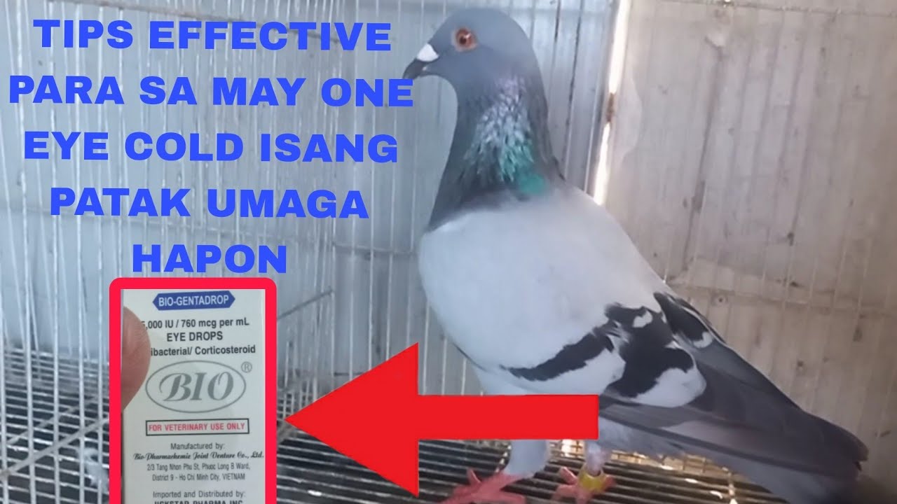 SUPER EFFECTIVE PARA SA ONE EYE COLD SUBUKAN MO ISANG PATAK TAGAL ONE ...