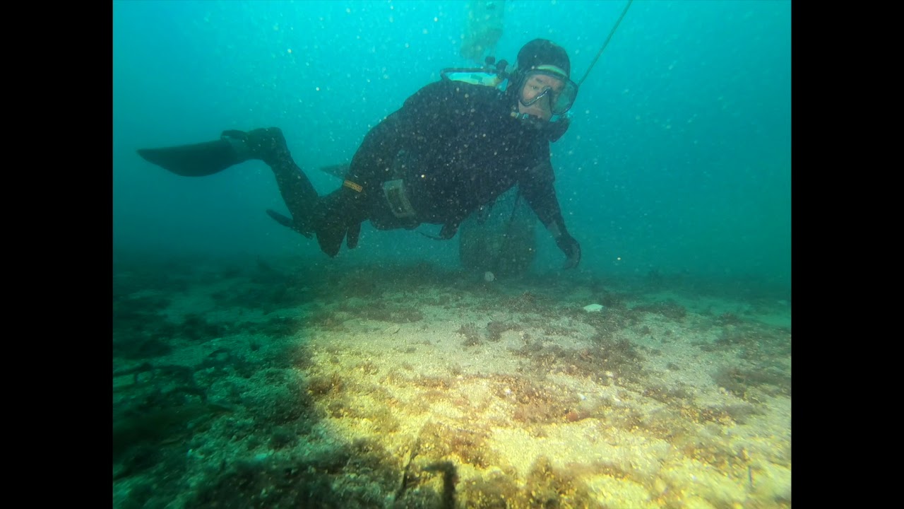 Scallop diving Scapa Flow - YouTube