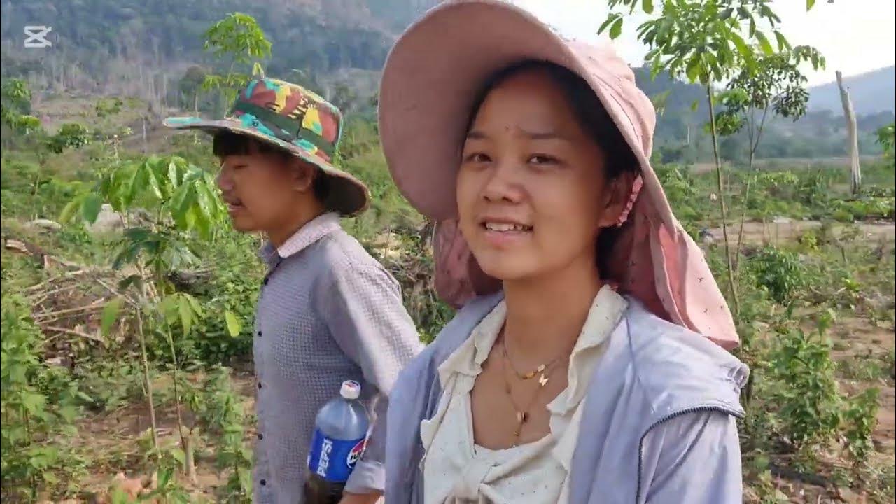 Coj saws dawv nrog kv tu txiv tsev wb mu txiav kab qos cog os - YouTube