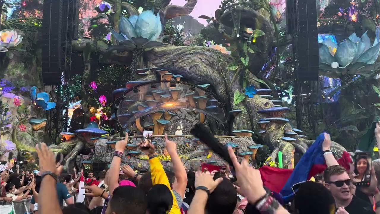 Levels | Afrojack | Tomorrowland 2024 - YouTube