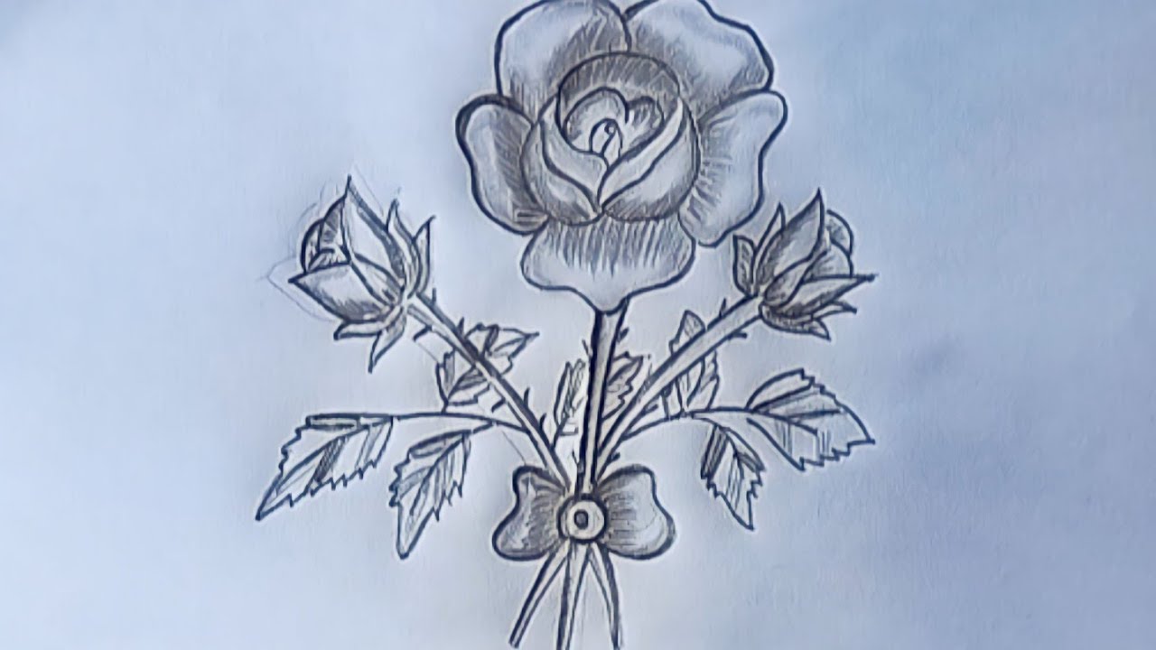Rose 🌹 Drawing ll How to draw a rose flower - YouTube