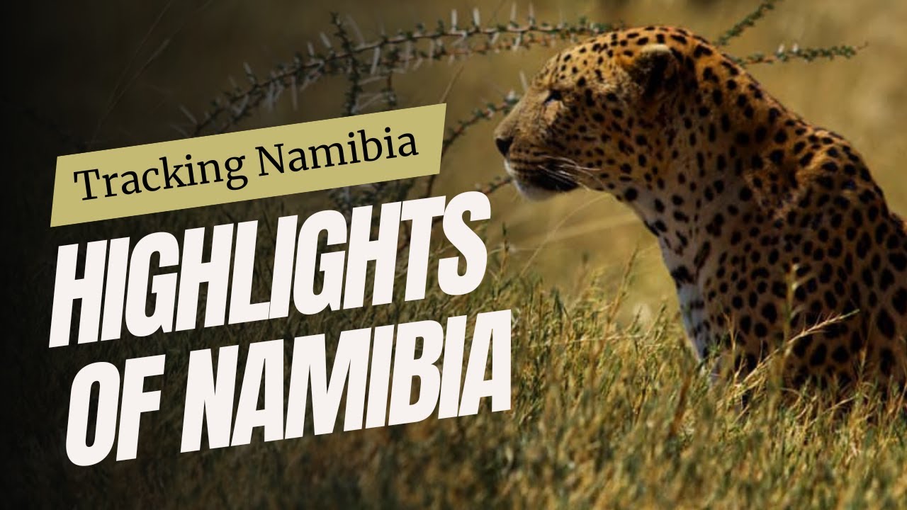 Travel to Namibia - YouTube