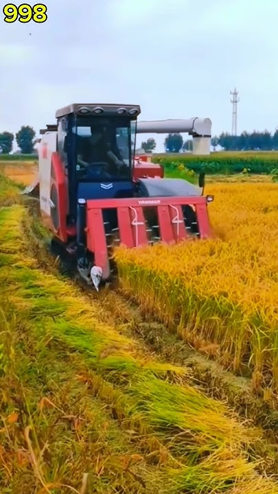 Cara canggih petani memanen padi menggunakan mesin keren modern menjadi lebih cepat #shorts ...
