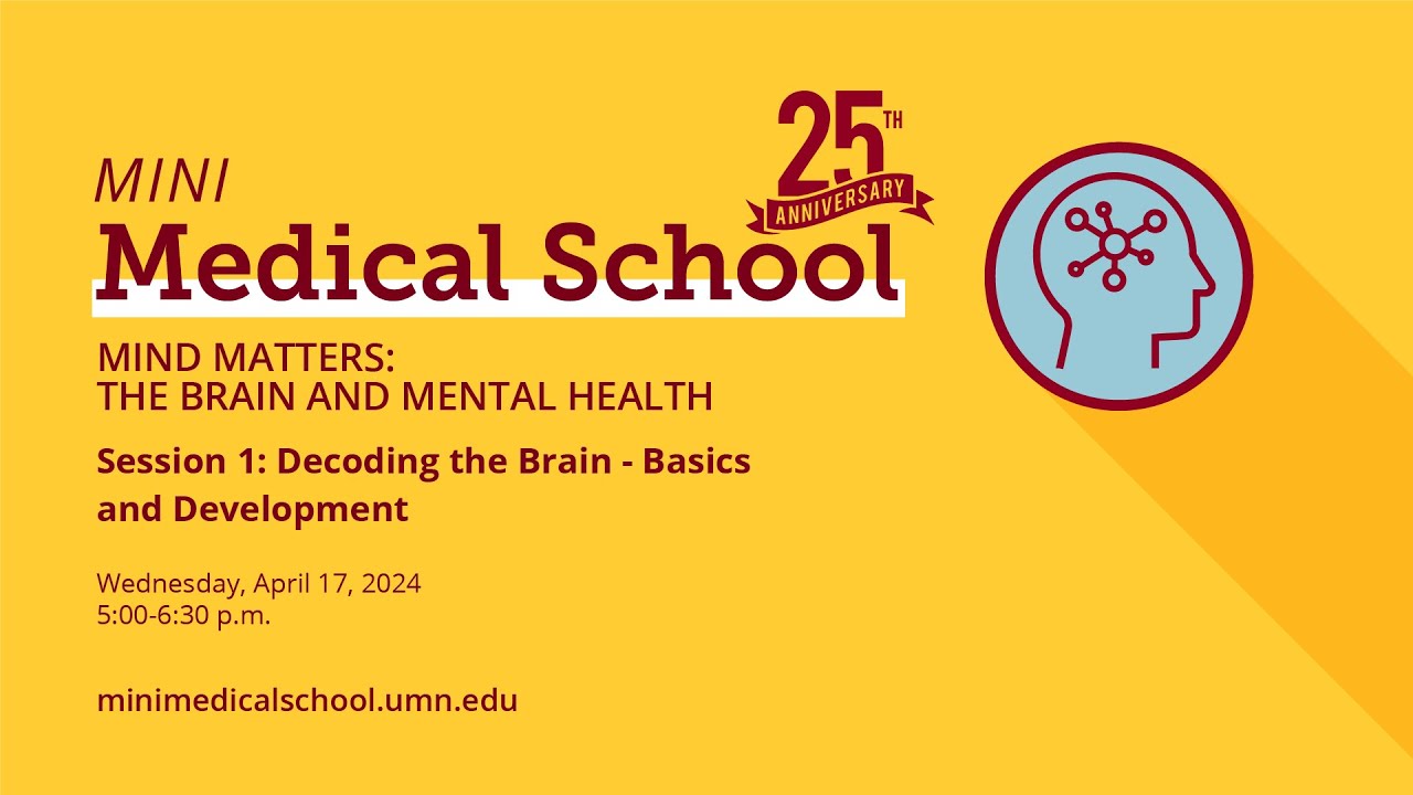 Decoding the Brain - Basics and Development: Mini Medical School - YouTube