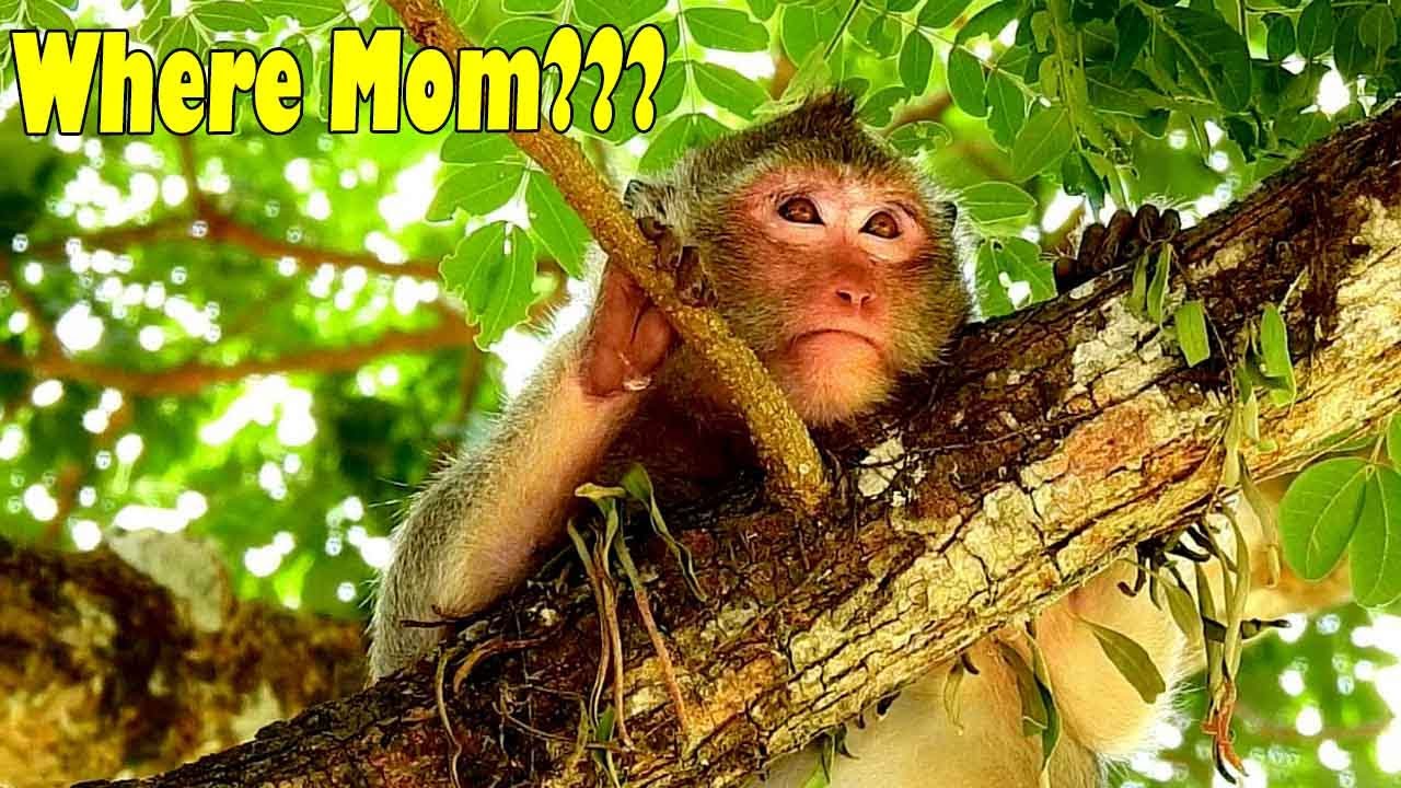 Pitiful! Lonely JOYCE Often L-ooked To Motobike And Cars Maybe She ...