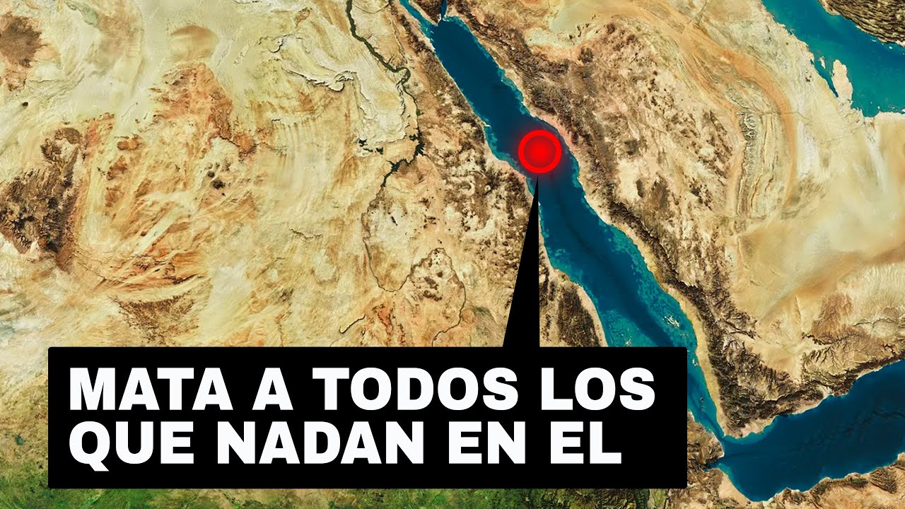 Hallazgos en el Mar Rojo que Aterraron al Mundo. - YouTube