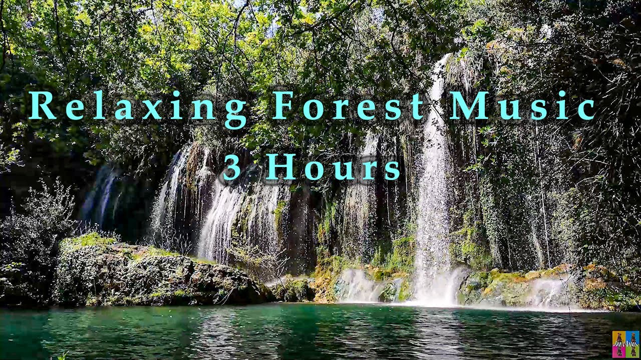 relaxing forest music sleep - YouTube