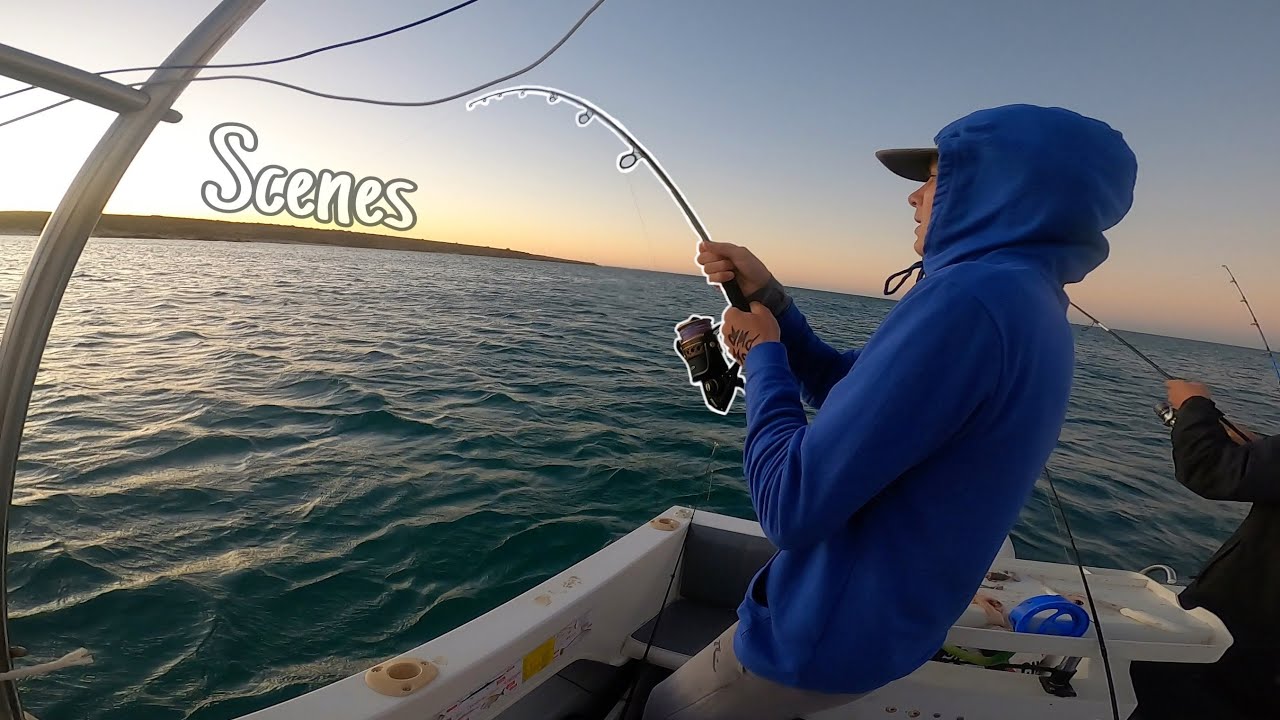 whiting & flathead CATCH and COOK | fishing amazing sunset - YouTube