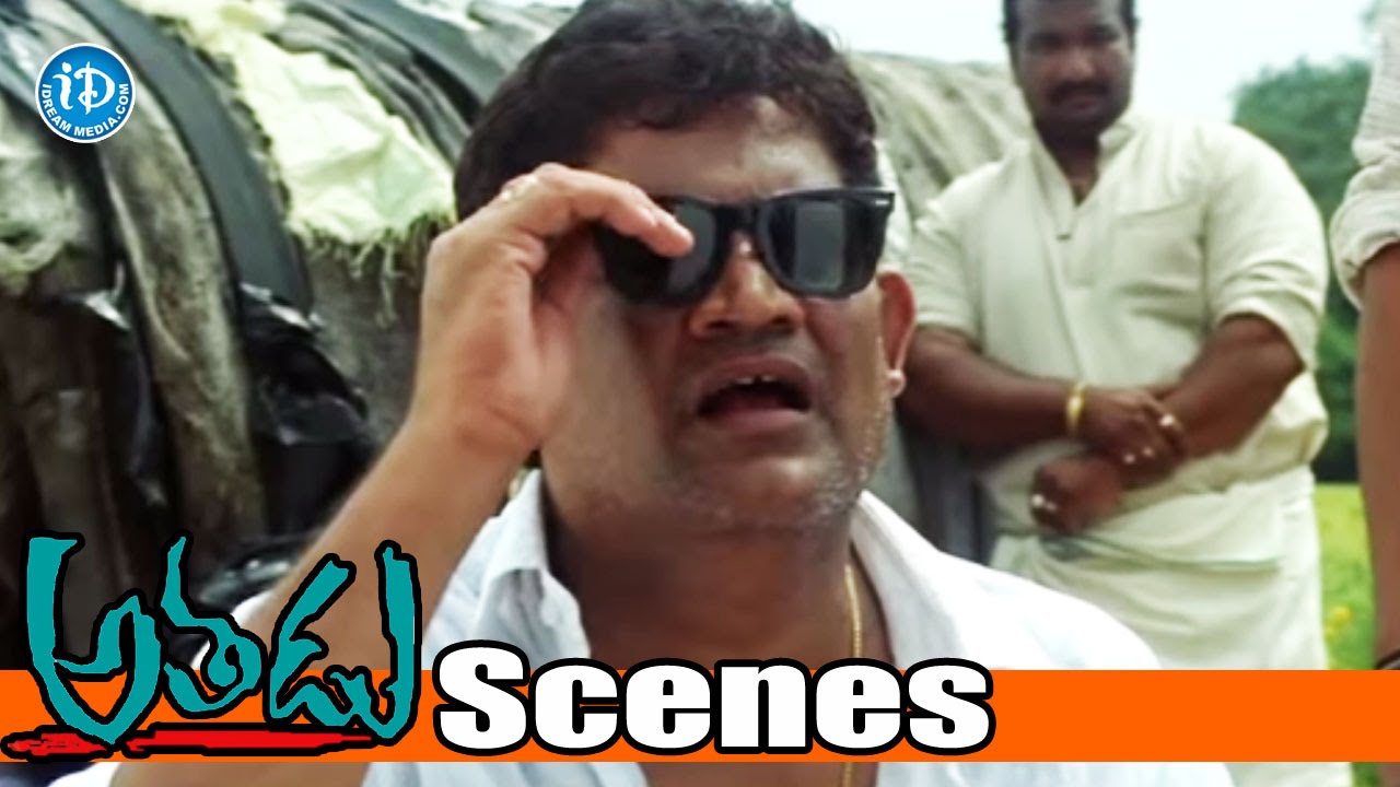 Athadu Movie Scenes - Tanikella Bharani Aadu Magadura Bujji Scene ...
