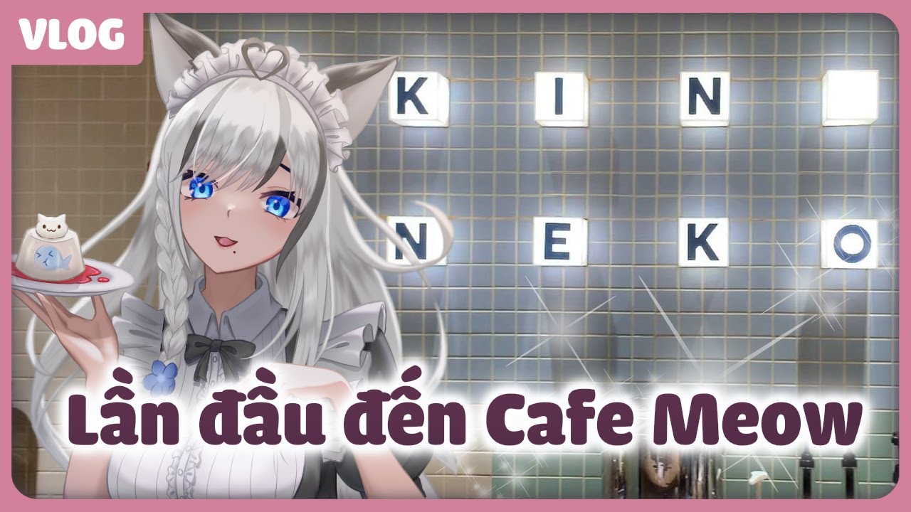 VLOG 》Tham quan và trải nghiệm lần đầu tại quán CafeMeow - YouTube