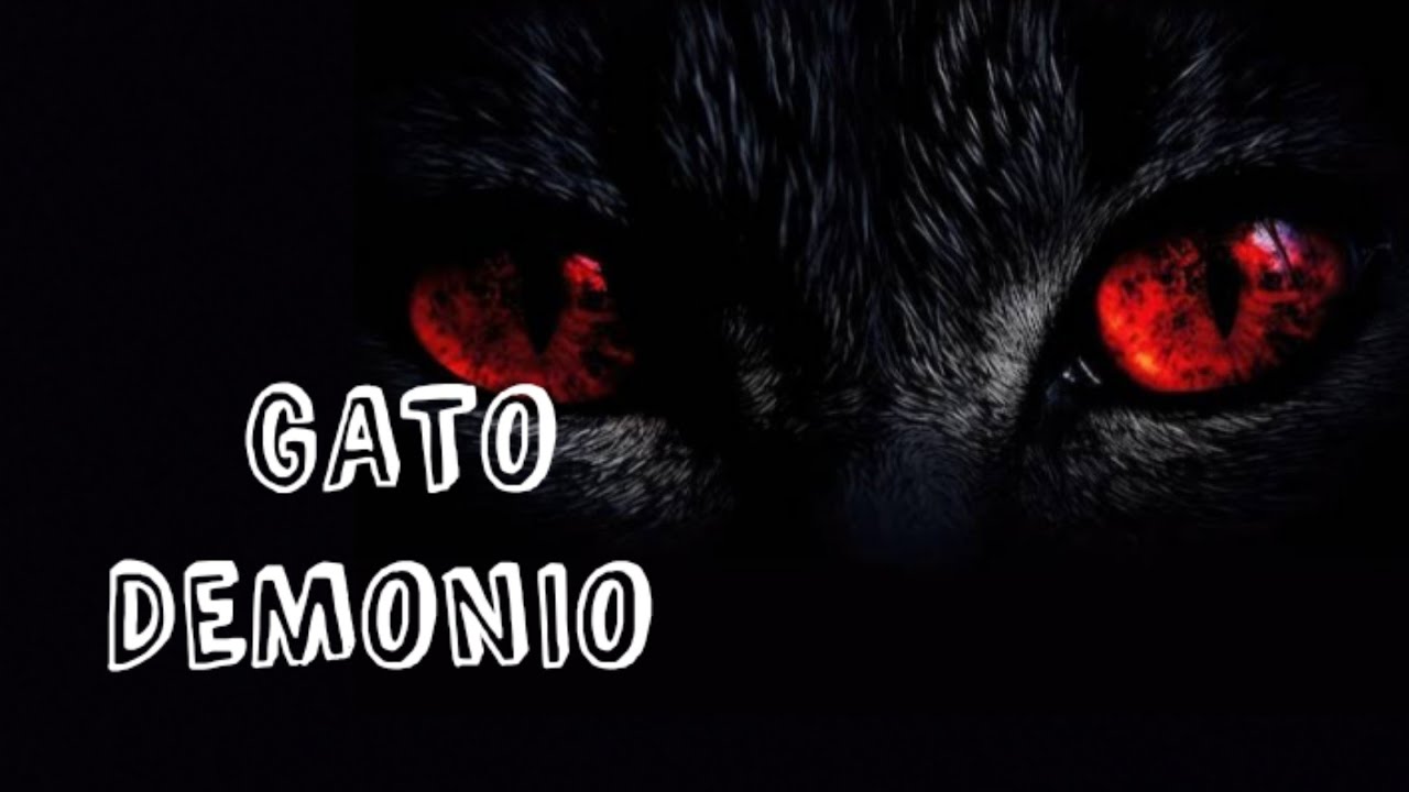 El Gato Demonio - Historias de terror - YouTube