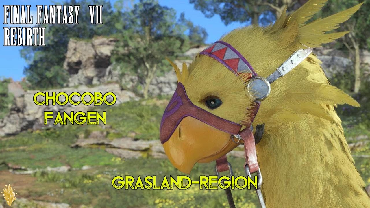 Final Fantasy VII Rebirth - Chocobo fangen in der Grasland-Region - YouTube