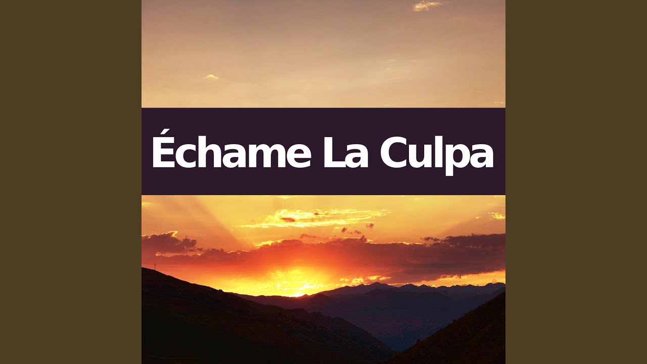 Échame La Culpa (Flute Version) - YouTube