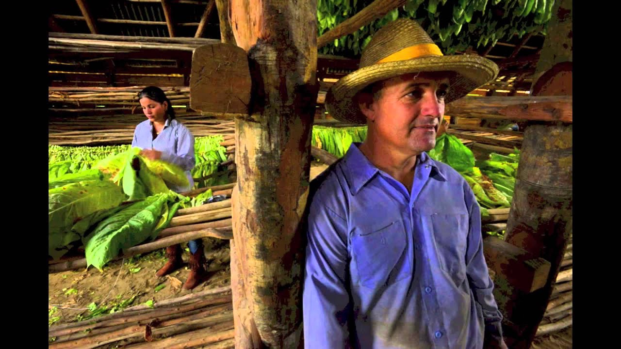 Havana Journey with Raul Touzon - YouTube