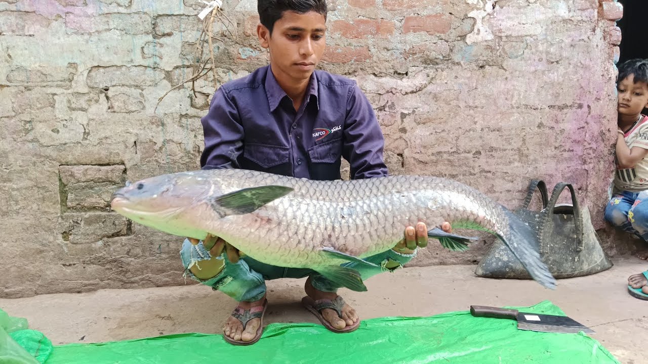 Beg Katla Fish Skinning And Chopping 👍 By A Expert Fish Cutter 🥰 Deshi ...