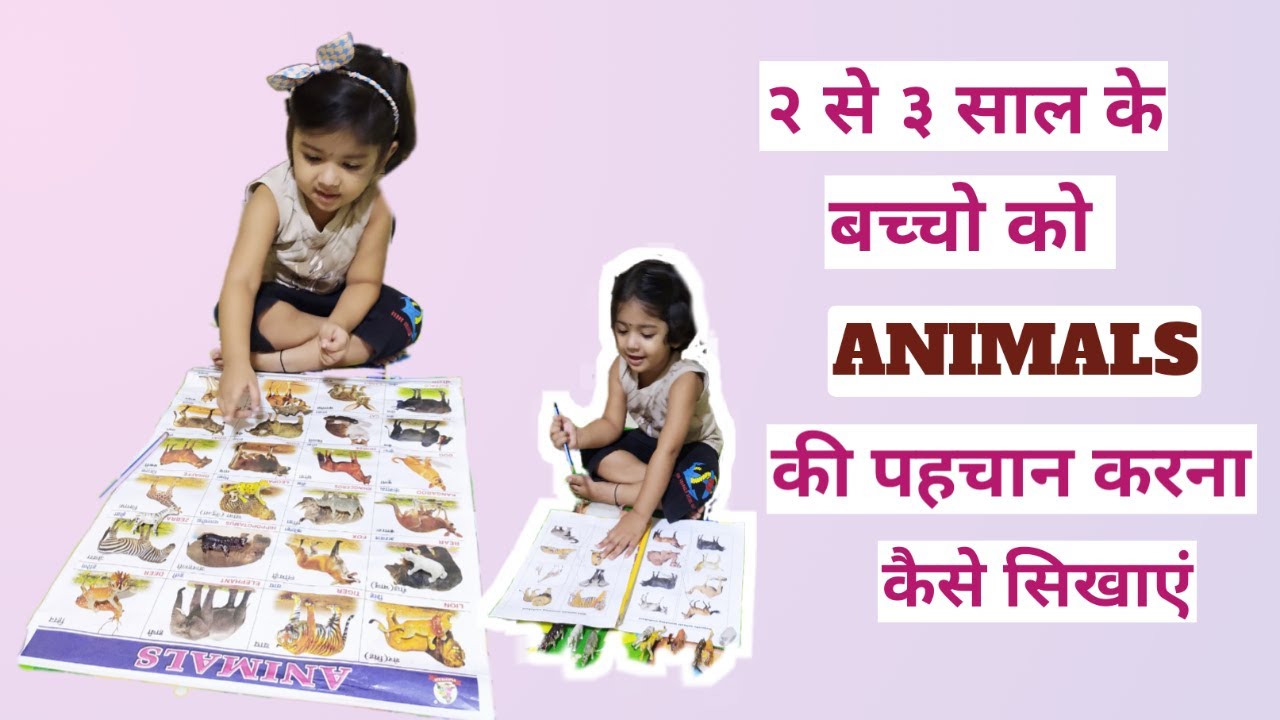 २ से ३ साल के बच्चो को ANIMAL की पहचान करना कैसे सिखाएं ! How to learn ...