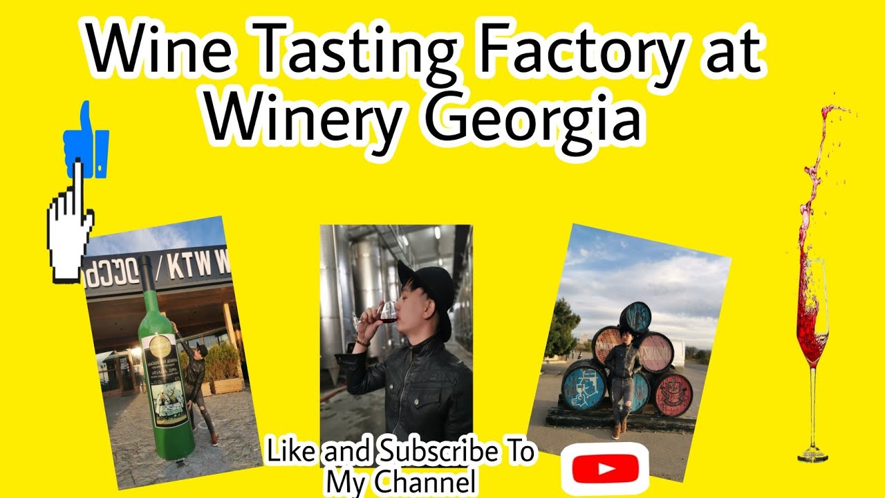 Wine Tasting Factory Georgia 🇬🇪2021 Travel and Tour #georgia # ...